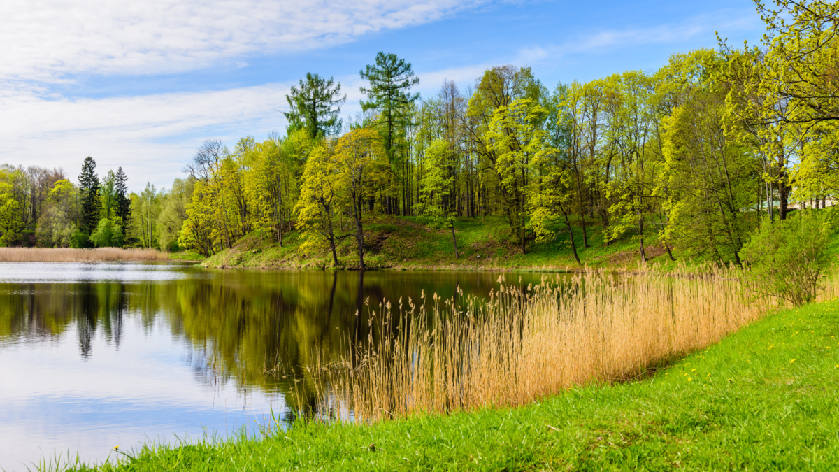 Water Breakthrough Challenge 4 - Ofwat Innovation Fund