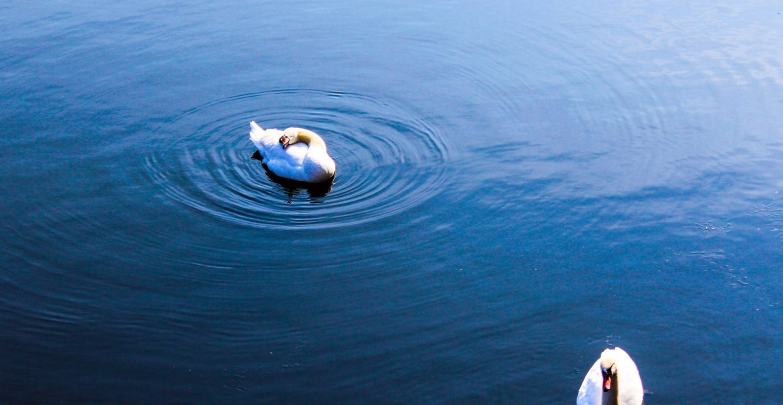 Water Innovation Cross Sector Challenge Ofwat Innovation Fund